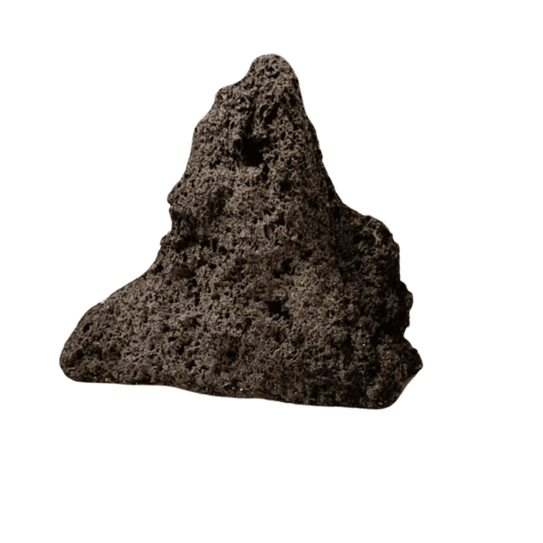 Akvarieboden - Din lokale akvarie butikk på nett | Gratis frakt!