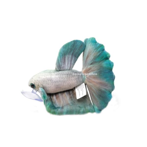 Merchs - Akvarieboden