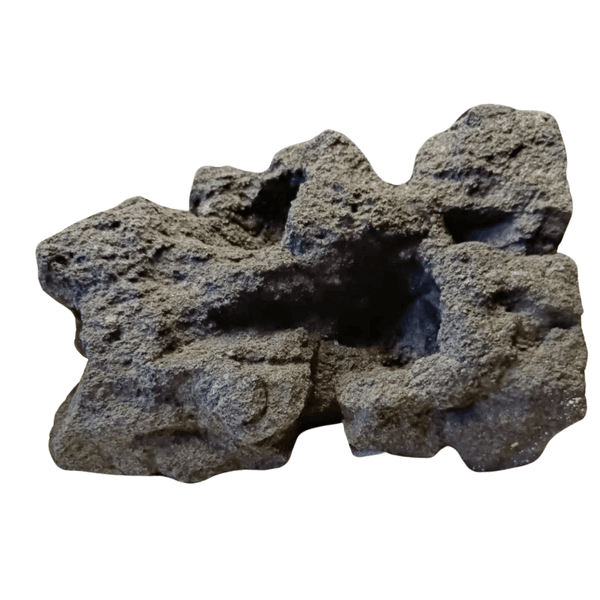 Akvarieboden - Din lokale akvarie butikk på nett | Gratis frakt!